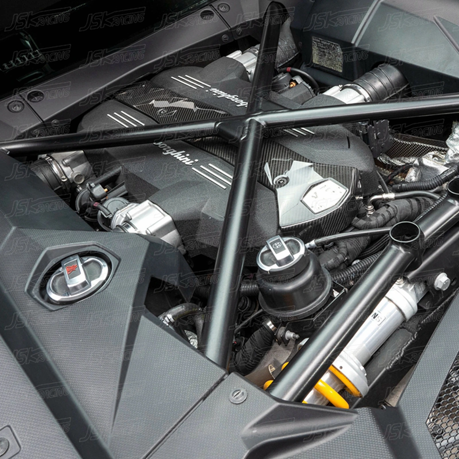 Lamborghini Veneno Engine Bay