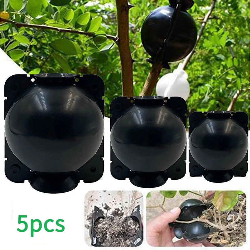 5pcs-Plant-Rooting-Ball-Garden-Grafting-Box-Sapling-Propagation ...