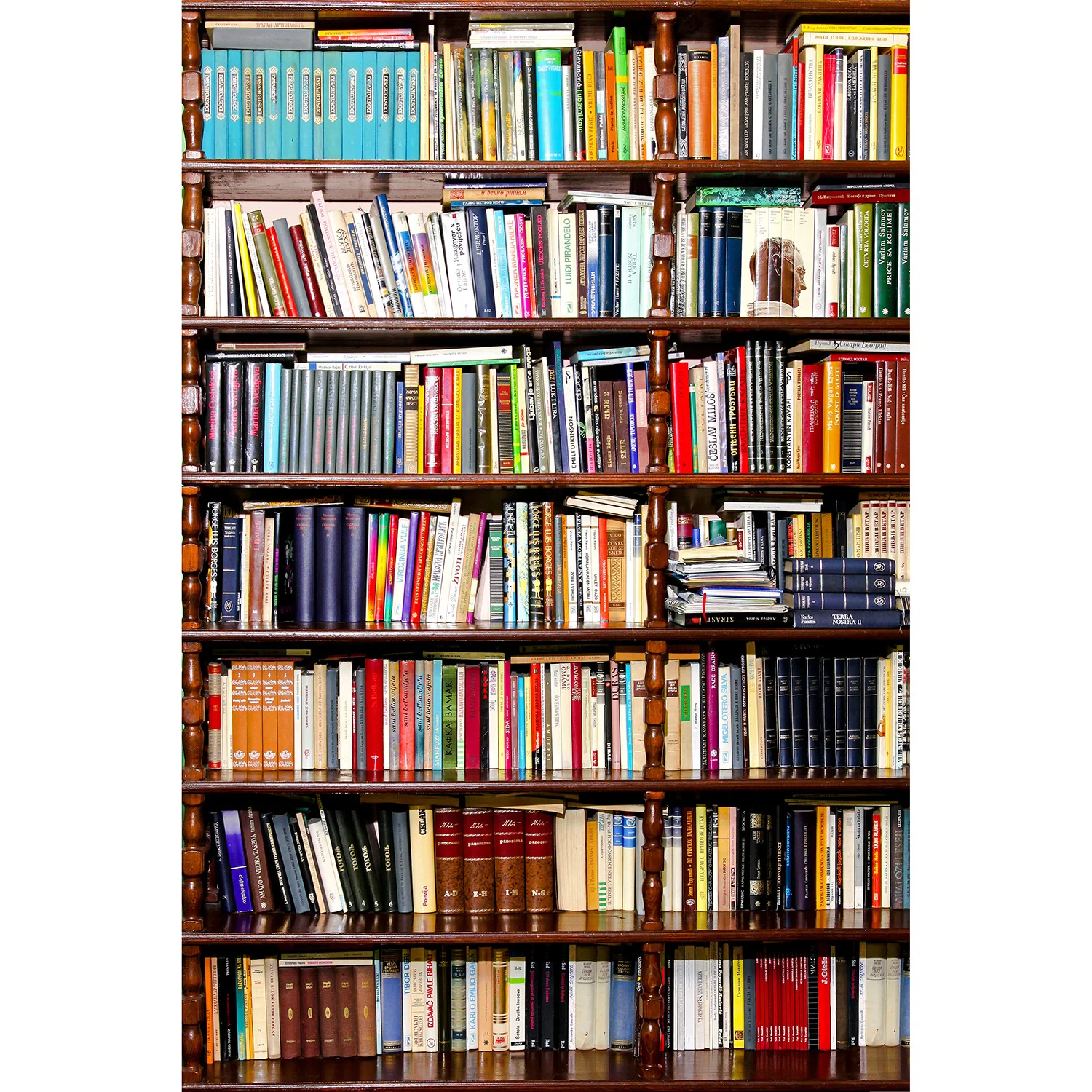 Graduation Bookshelf Background