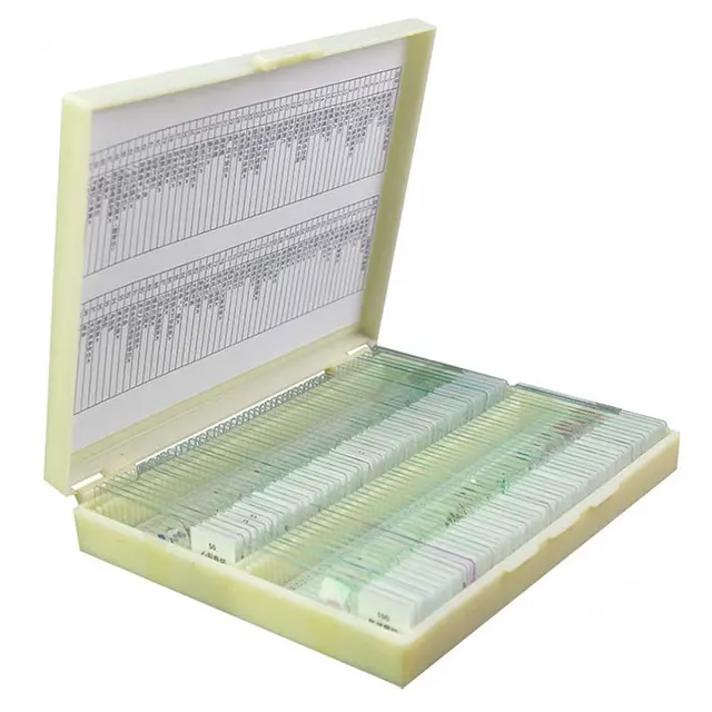 Biological 100pcs Prepared Glass Slice Microscope Slides Educational ...
