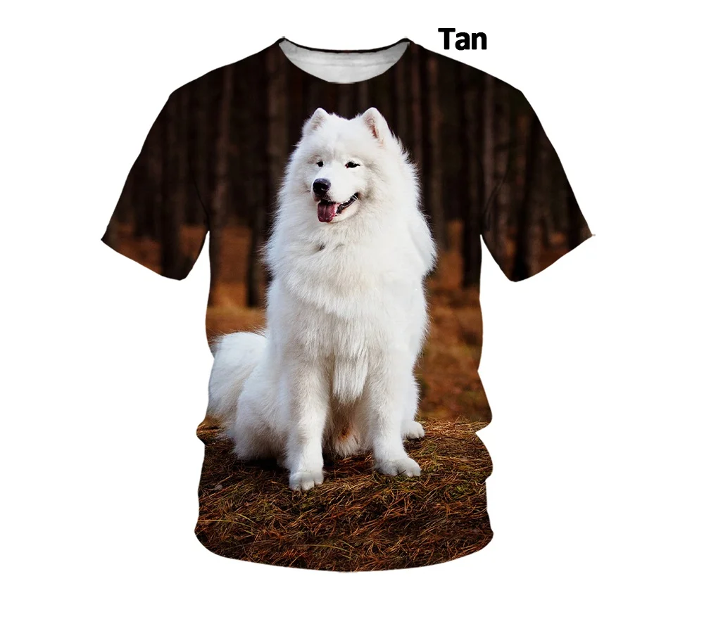 Tan Samoyed
