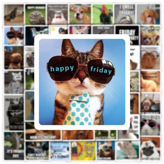 Have A Happy Friday Cat