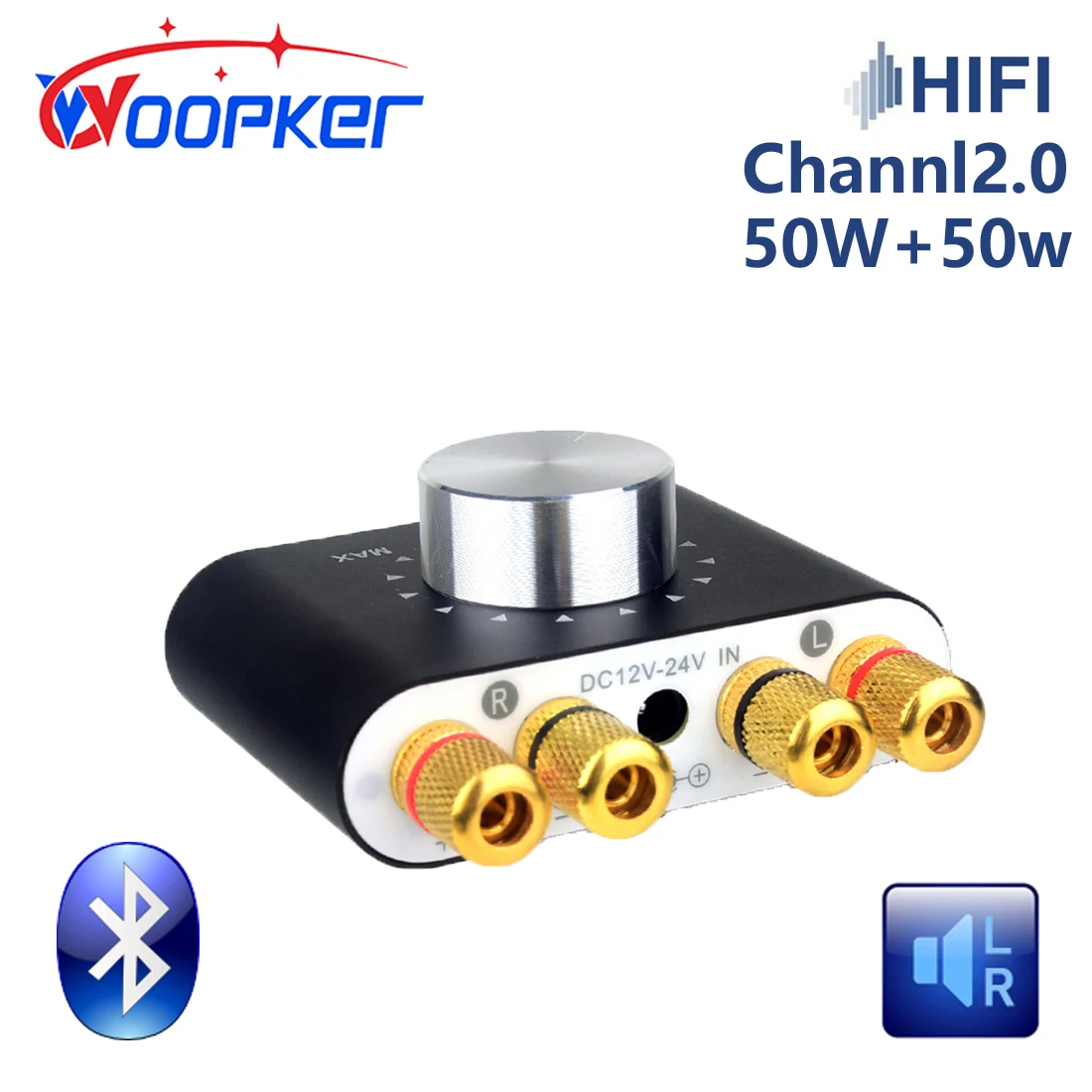 Woopker-USB-5-0-X24-Tpa3116-50W-50W.jpg
