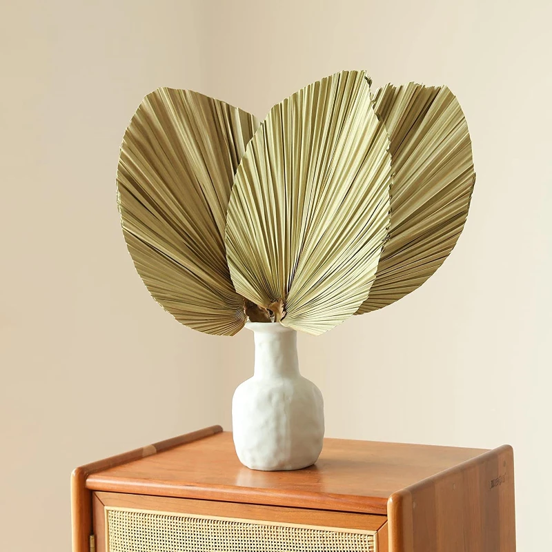 Dried Palm Leaves Room Large Natural Palm Leaf Decor For A Beautiful ...