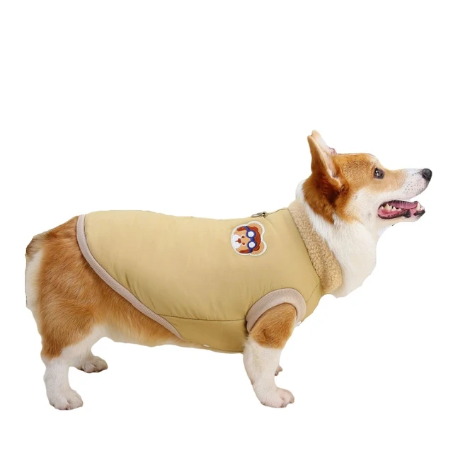 ıstakoz Kostümlü Corgi