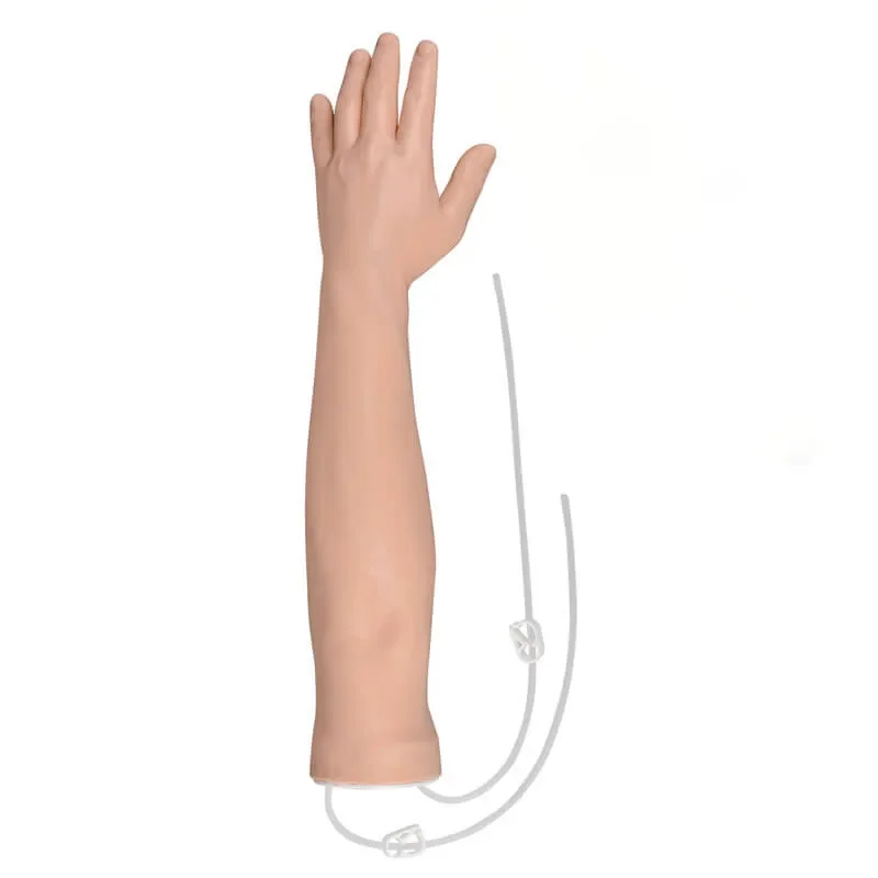 Adult Left Multi-Venous IV Practice Arm and Hand Kit with Plastic Stand ...