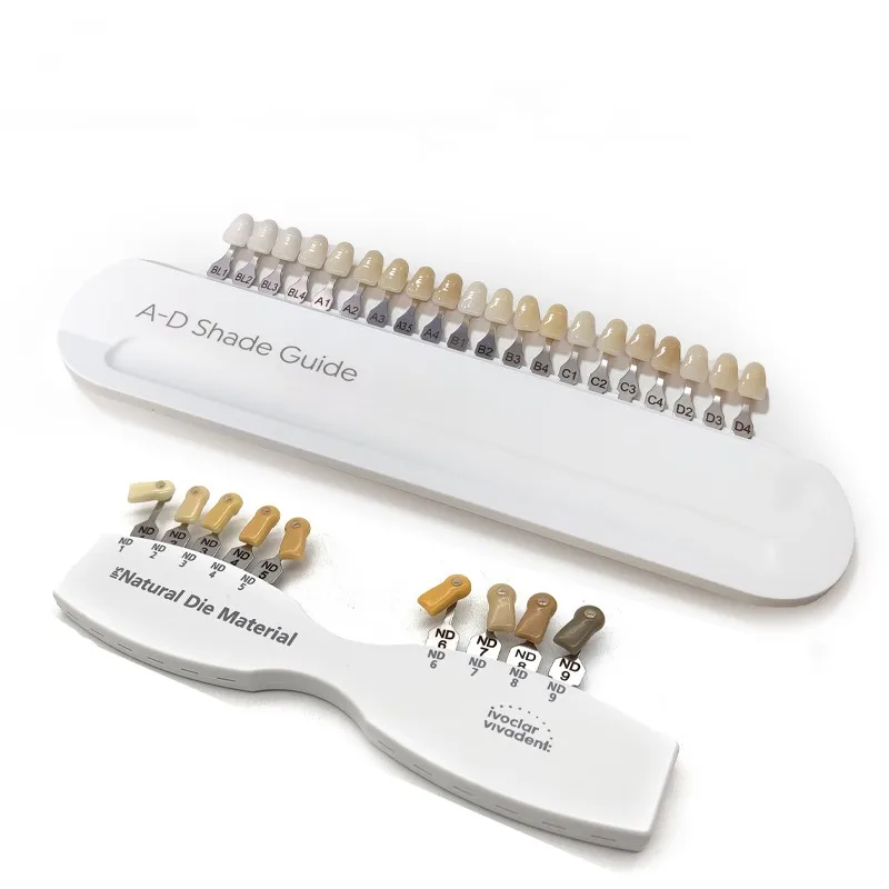 Dentes-dentais-porcelana-cl-ssica-cor-da-dentadura-modelo-dental ...