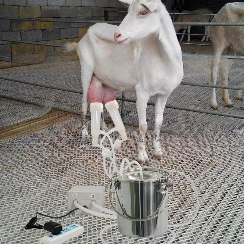 3/7/14L Pulse Sheep/Cow Goat Milking Machine Automatic Stop Stainless ...