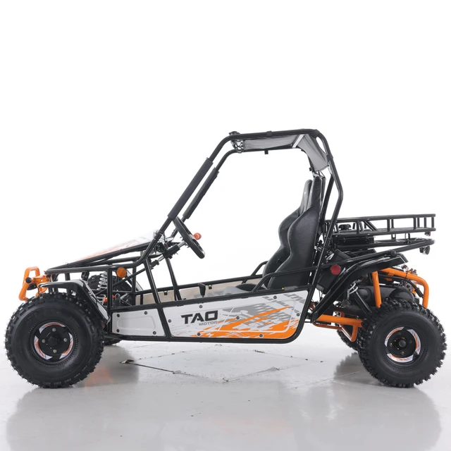 Tao Motor 200cc Gas Go Karts for Sale – SmeshMega.com