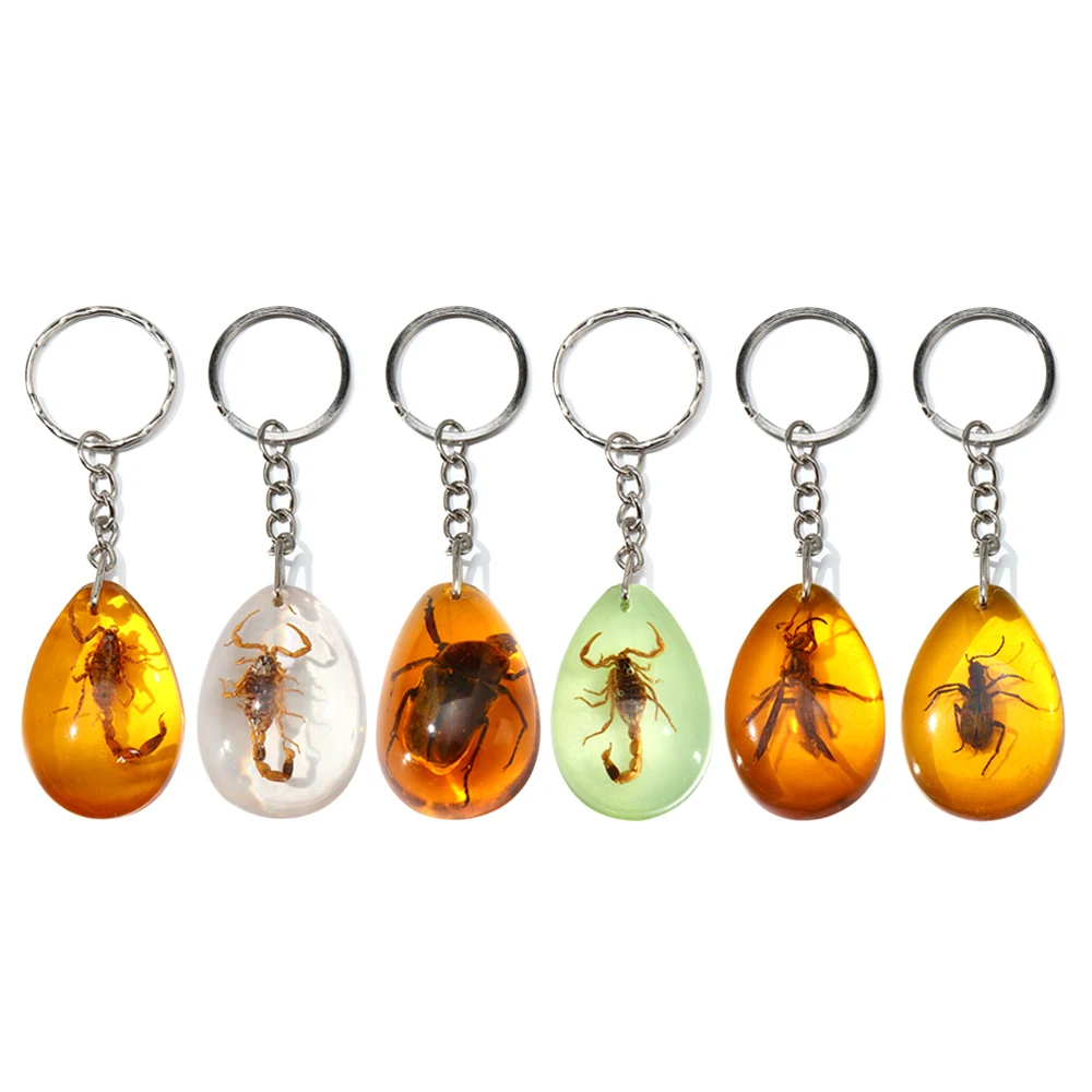 Amber-Key-Chain-Insect-Specimen-Chain-Pendant-Scorpion-Scarab-Seven ...