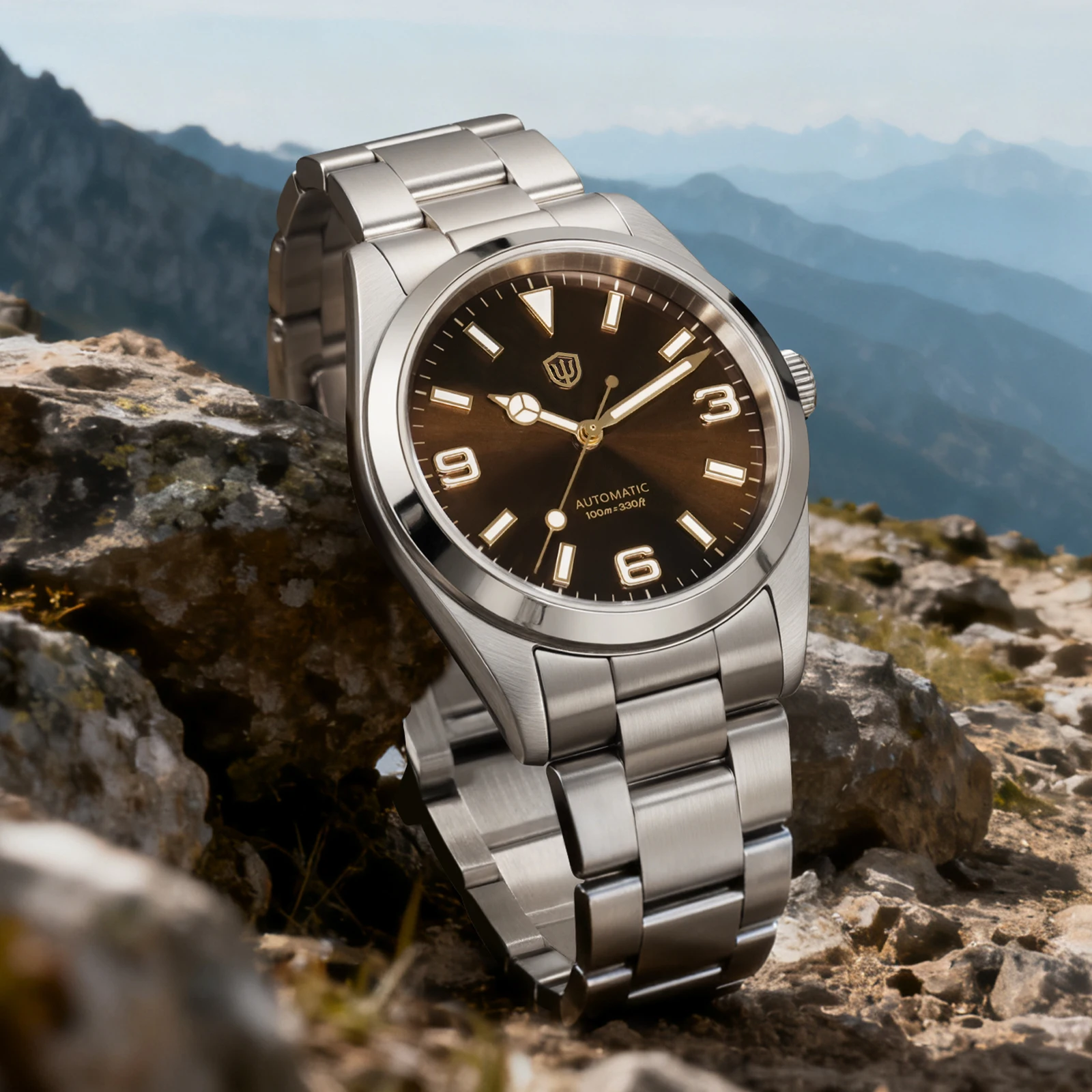 WatchDives Ranger WD6610 Review: Why This Mechanical Dive Watch ...