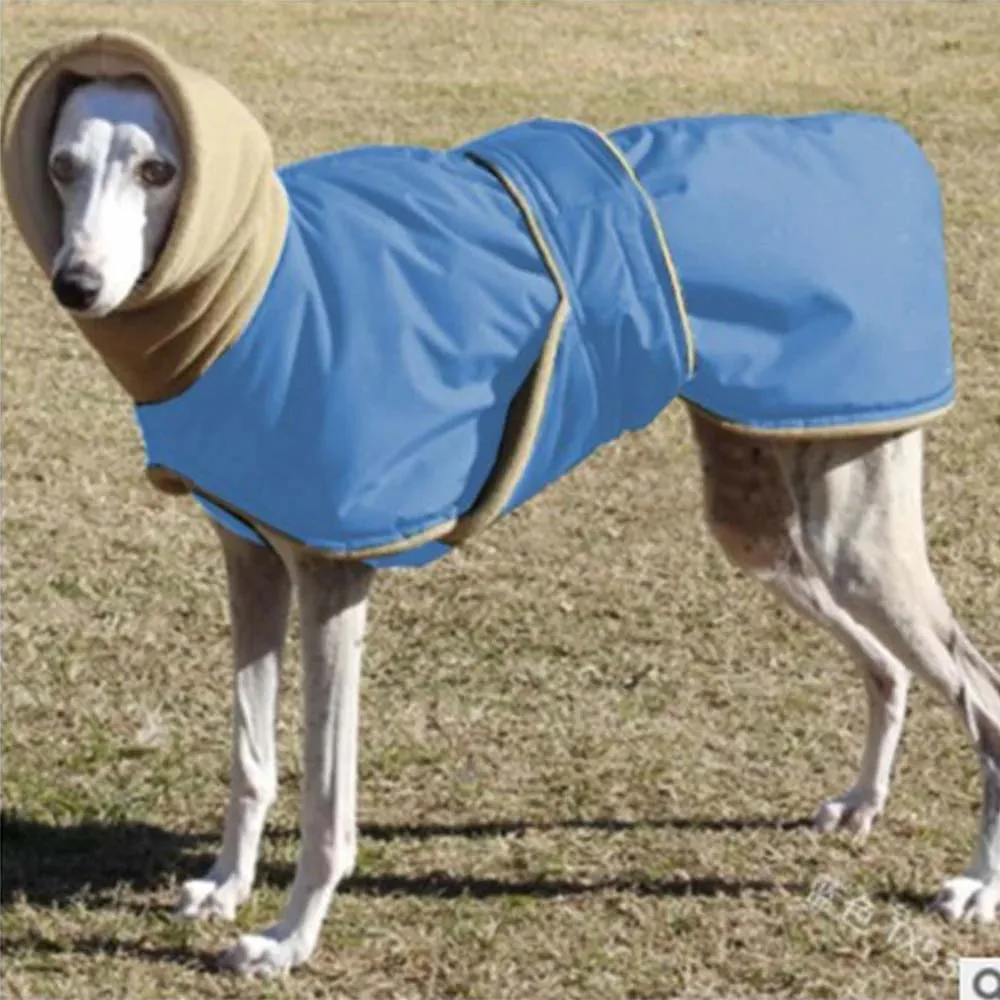 Winter-Warm-Jacket-Whippet-Greyhound-Thick-Coat-Pet-Clothes-Lingtons ...