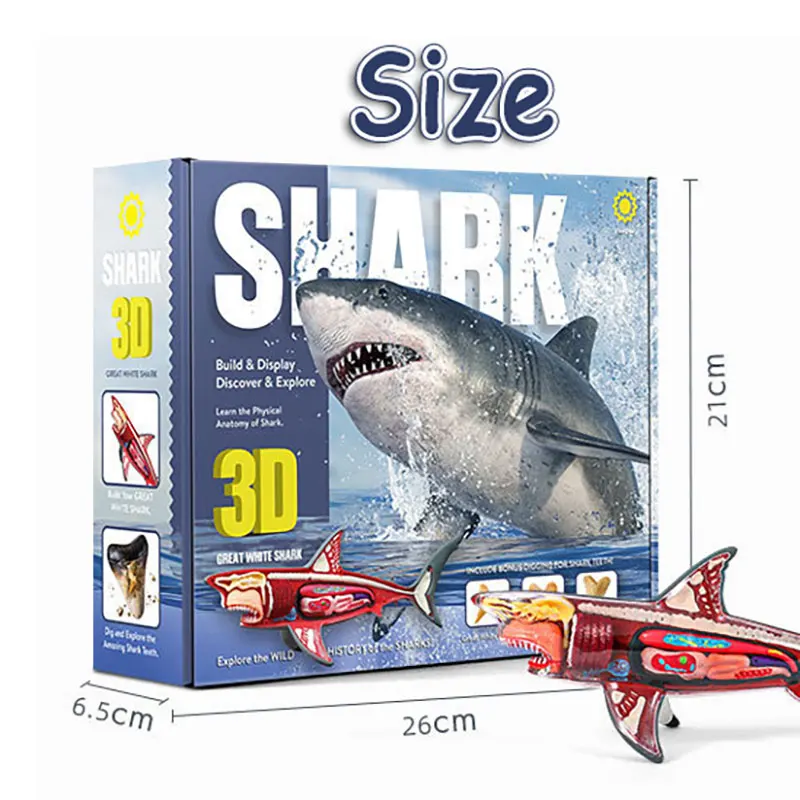 Great White Shark Skeleton Structure