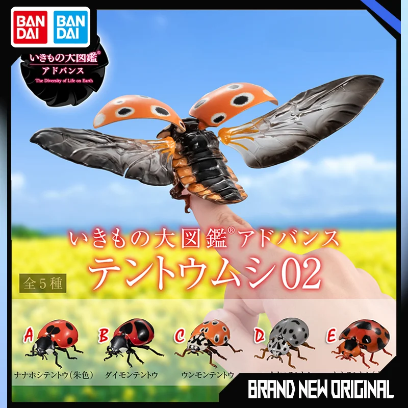 BANDAI-figuras-de-la-enciclopedia-biol-gica-modelo-de-mariquita-Serie ...