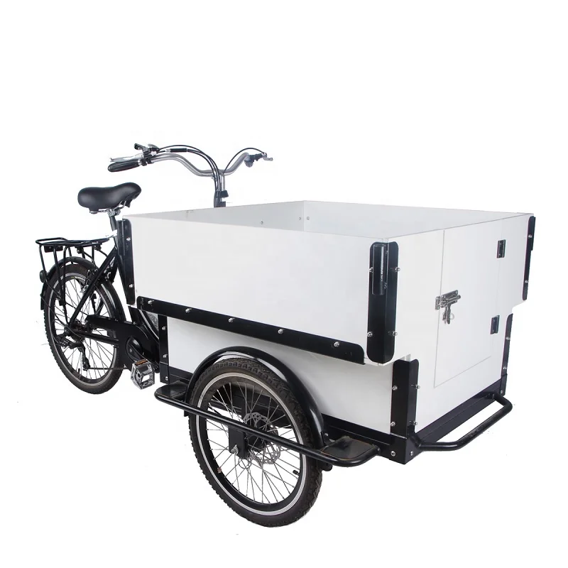 2021-Pedaal-Elektrische-Fiets-Open-Lading-Fiets-Volwassen-Motortricycle ...