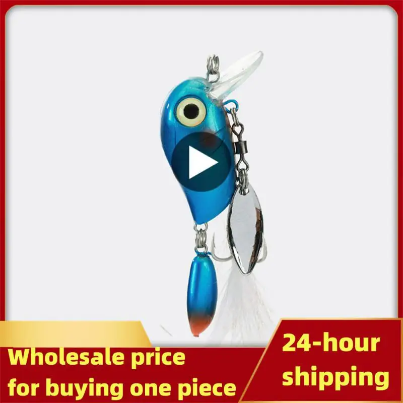 Store Home Products Summer Sale Feedback