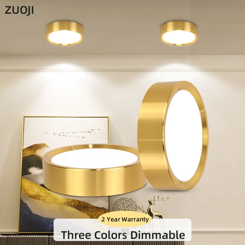 Led Ceiling Light Dimmable Downlight Gold Ceiling Lamp 5W 10W 15W 25W ...