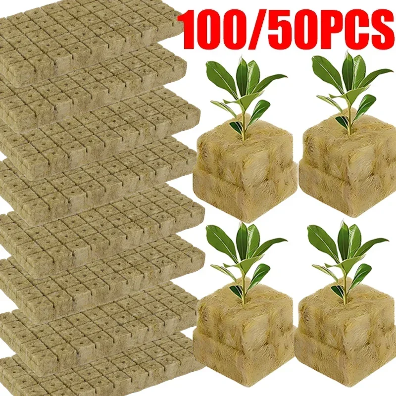 Sponge-Block-Starter-Plugs-Rock-Wool-Grow-Cubes-Seed-Starters-Planting ...
