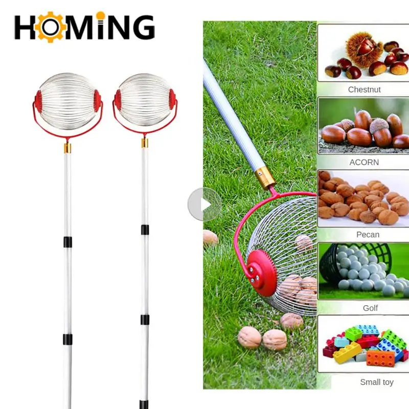 Retractable-Nut-Gatherer-Fruit-Picker-Fruit-Ball-Nut-Collector-Quick ...