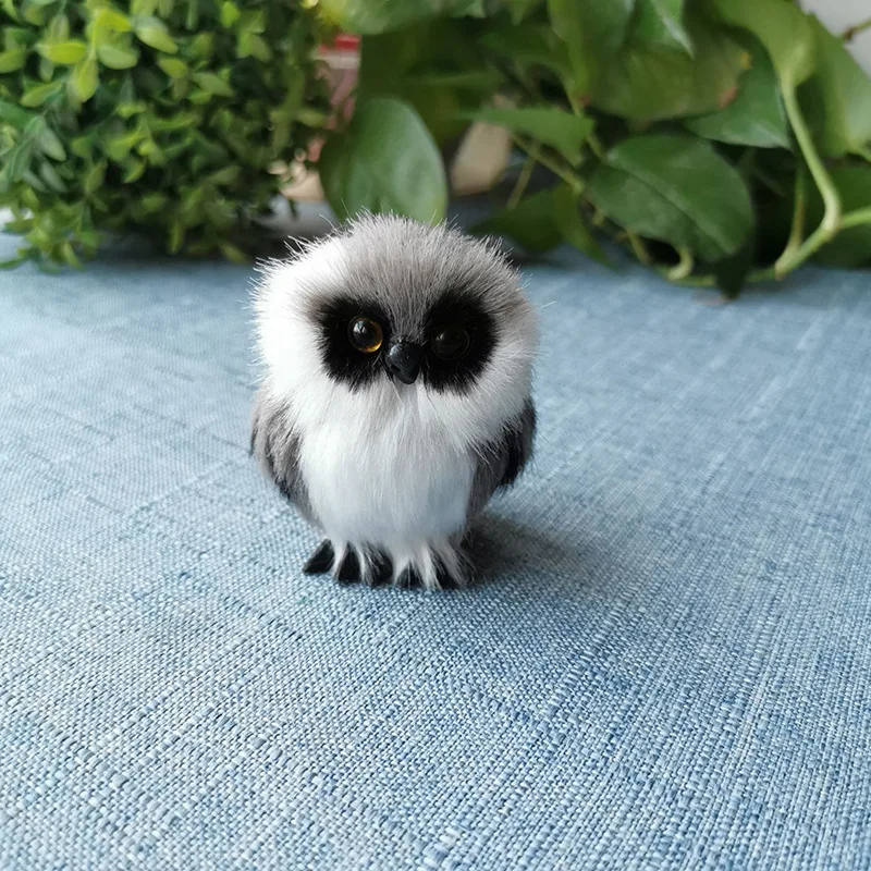 Real Baby Owl Images