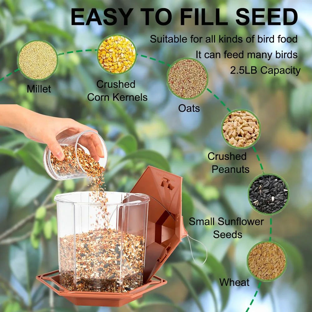 Automatic Bird Feeder – About Cozy Living