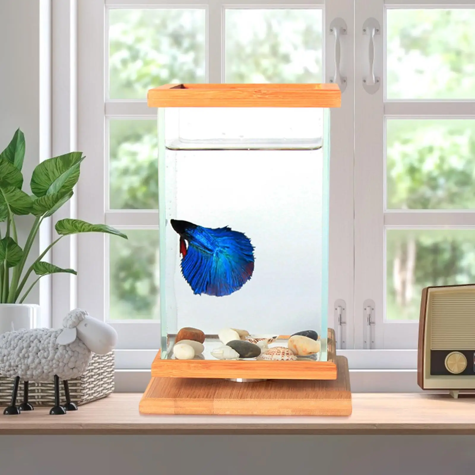 Betta Fish Bowl With Bamboo