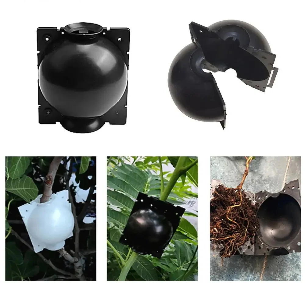 1-6-12Pcs-Reusable-Plant-Root-Growing-Box-Cutting-Grafting-Rooting-Ball ...