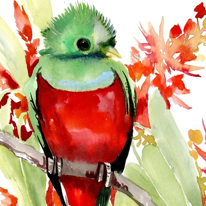 Quetzal Bird Painting