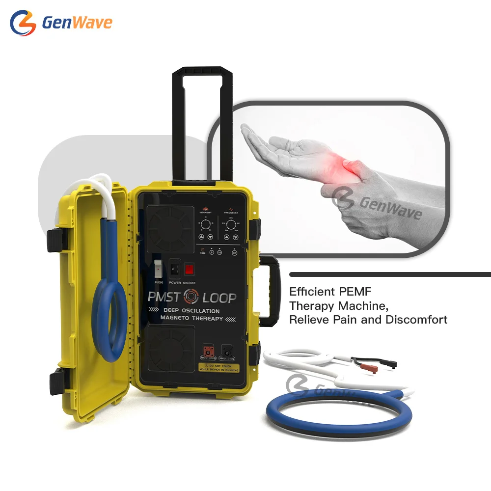 PMST-Loop-Magna-Wave-PEMF-For-Low-Back-Pain-EMTT-Therapy-Machine.jpg