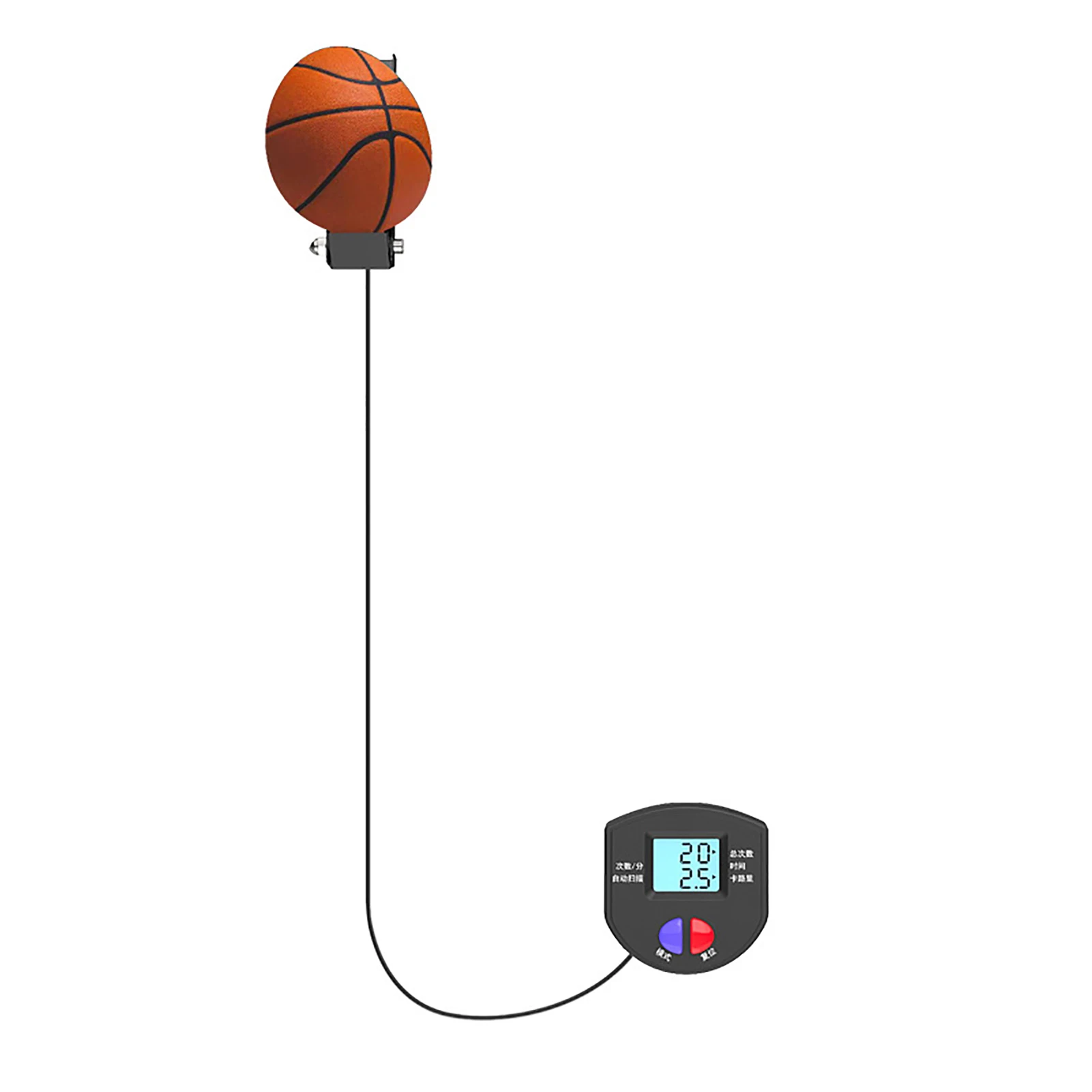 Vertical Jump Equipment