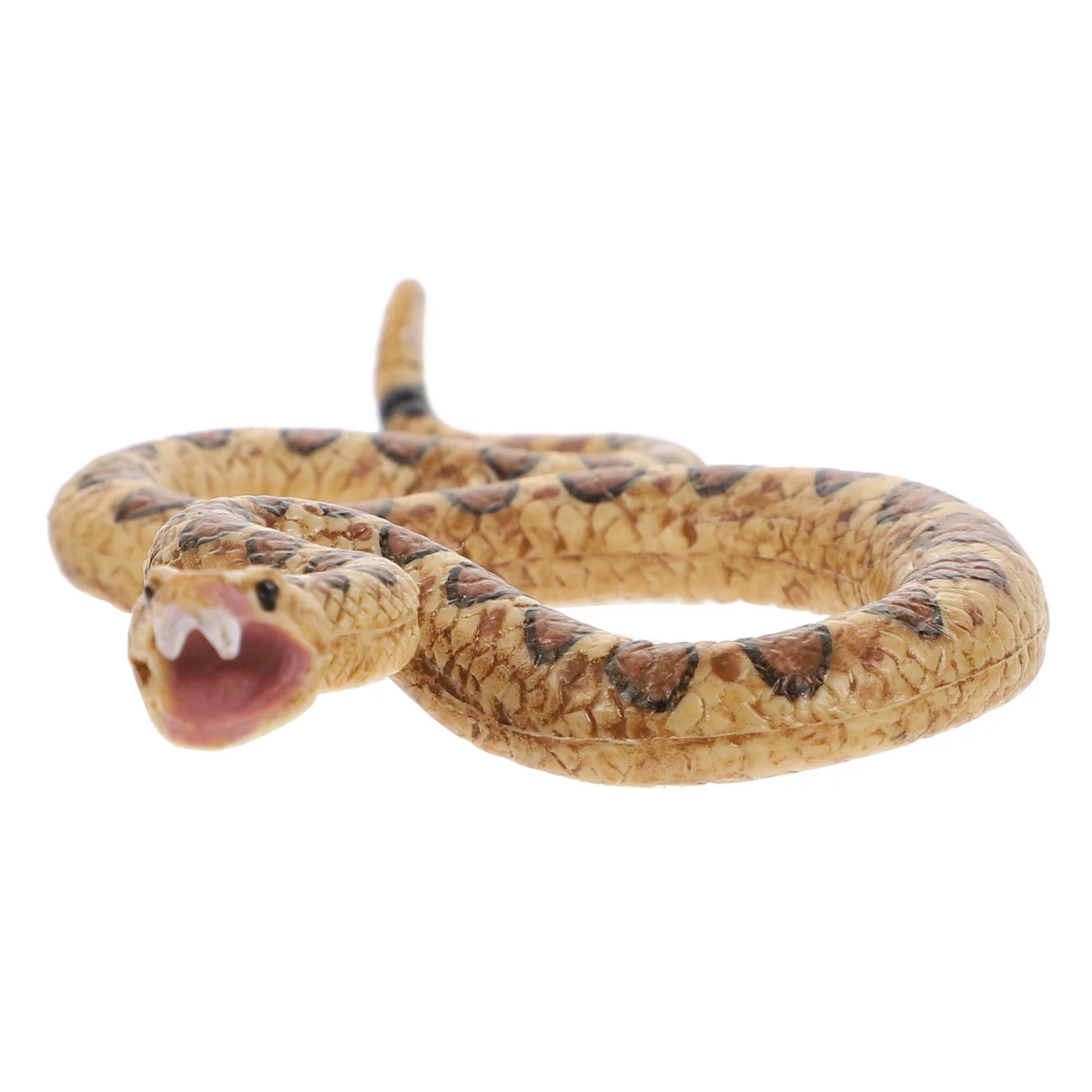 Rubber Boa Snake Skeleton