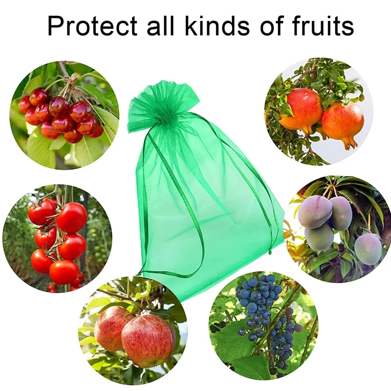 25-50PCS-strawberry-Grape-protection-bag-Vegetable-and-Fruit-Protection ...