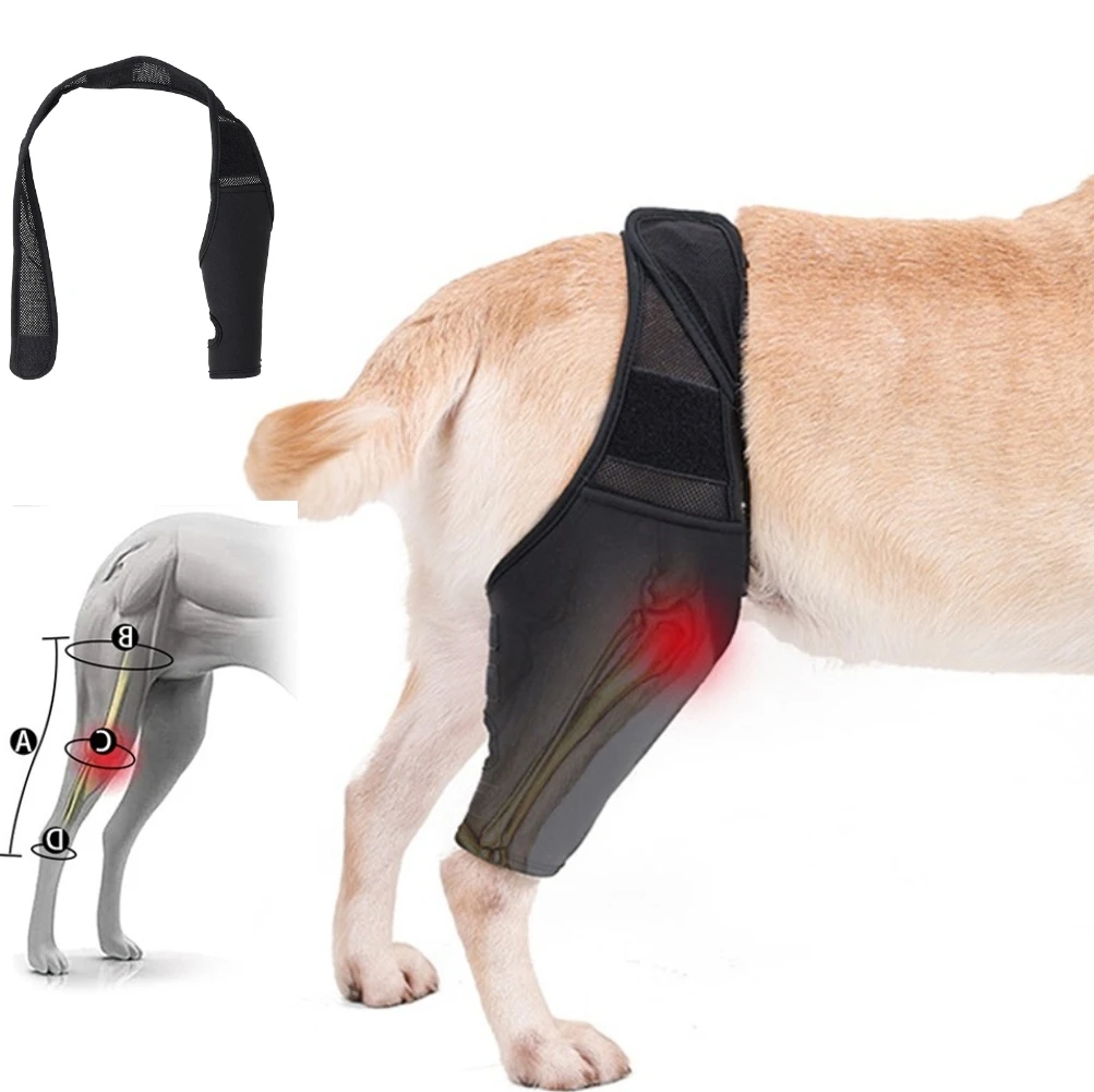 Pet-Dog-Injury-Knee-Brace-Leg-Inflammation-Pain-Alleviate-Leg-Support ...