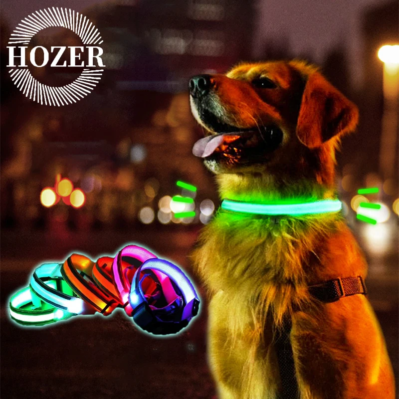 Dog Collar Nylon LED Night Safety Flashing Glow In The Dark Pet Dog ...