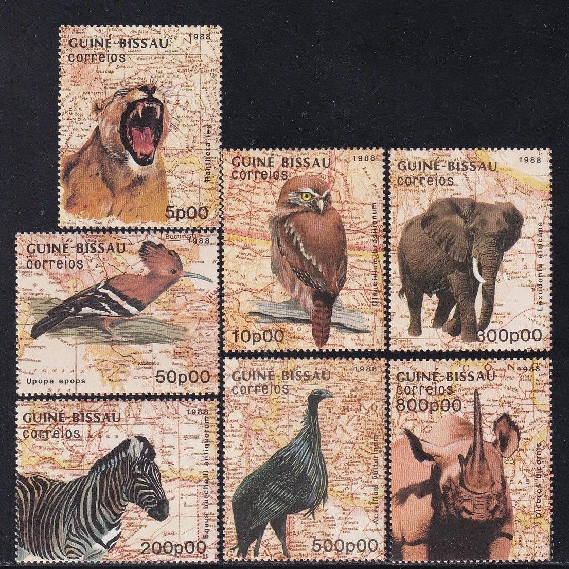 Guinea-bissau Y1988 Lion Owl Ostrich Rhinoceros Real Post Stamps ...