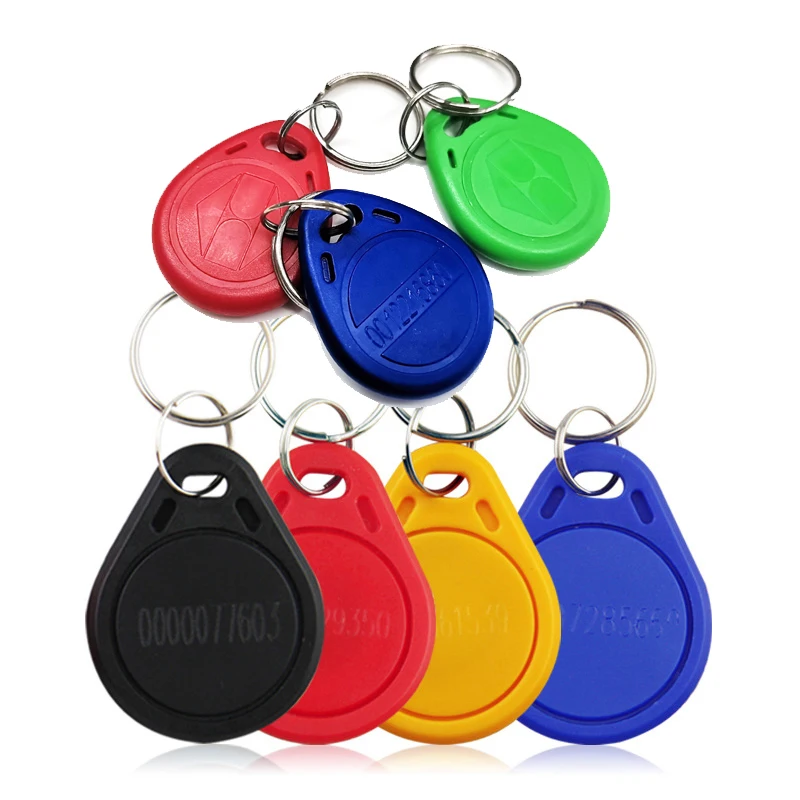 100pcs-lot-RFID-Keychain-Card-Tag-Key-125khz-ID-Keyfob-TK4100-EM4100 ...
