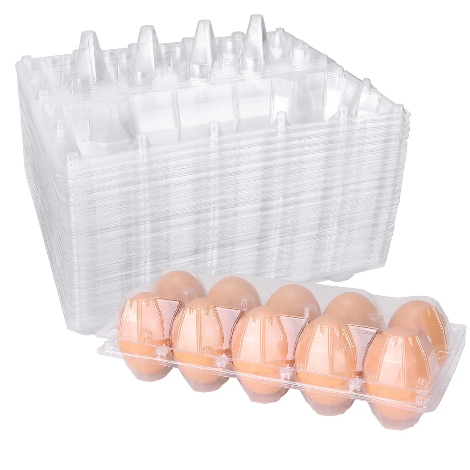 Empty Egg Carton