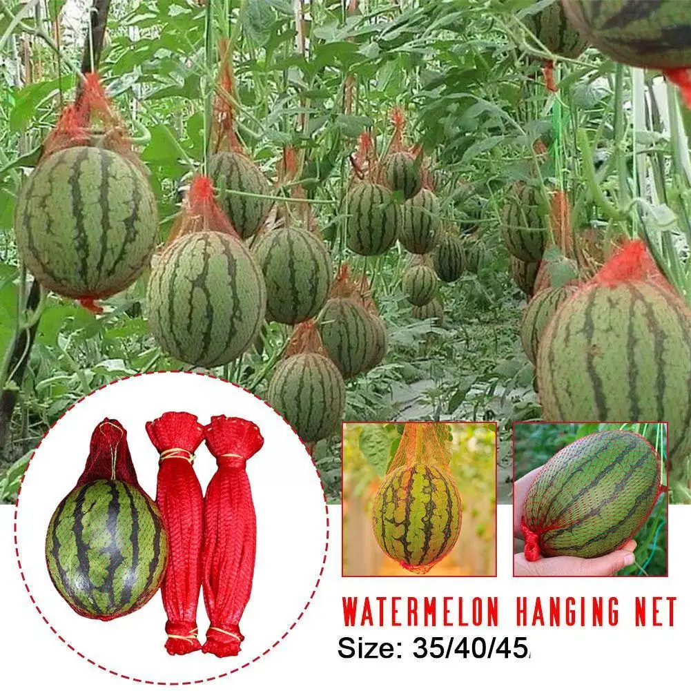 10pcs-Fruit-Plastic-Mesh-Bag-Watermelon-Melon-Grow-Drawstring-Net-Nylon ...
