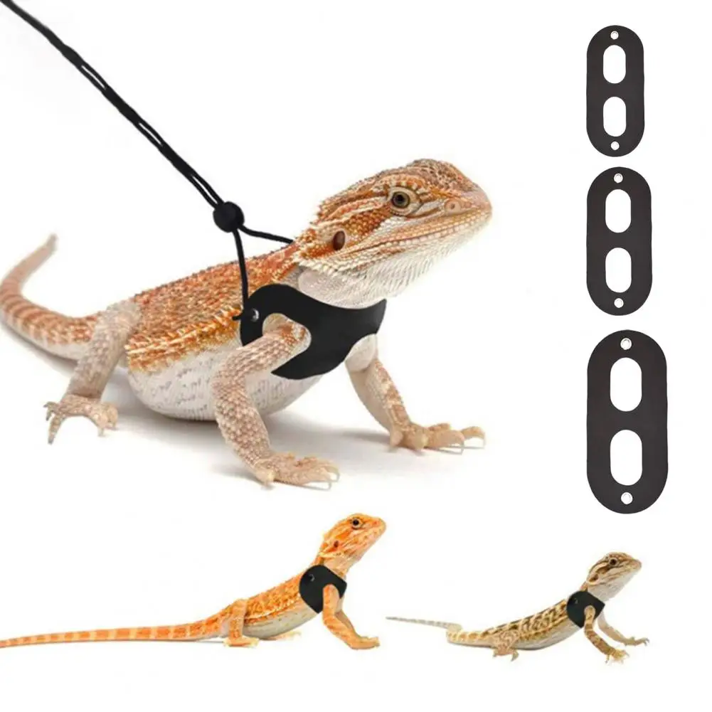 1 Set Lizard Traction Rope Adjustable Soft Lizard Leash Comfortable Pet ...