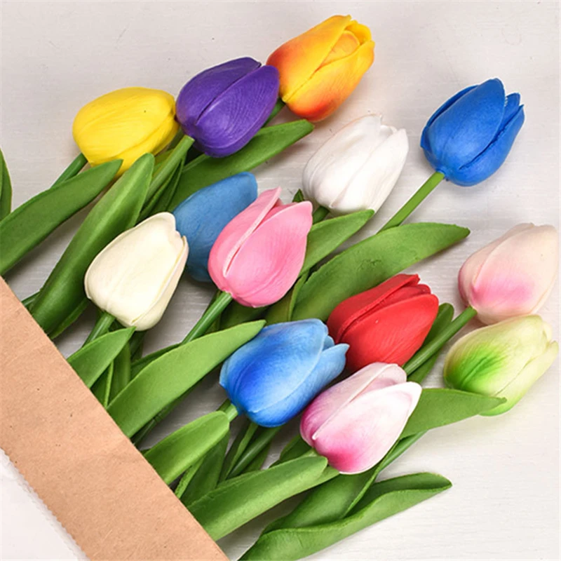 Bunga Tulip Warna Warni