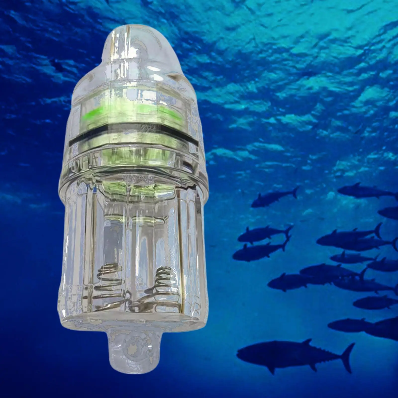 Deep Sea Fish With Light