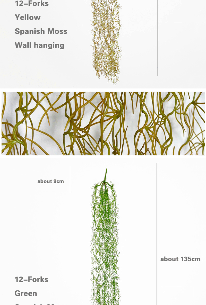 Hanging Moss Texture