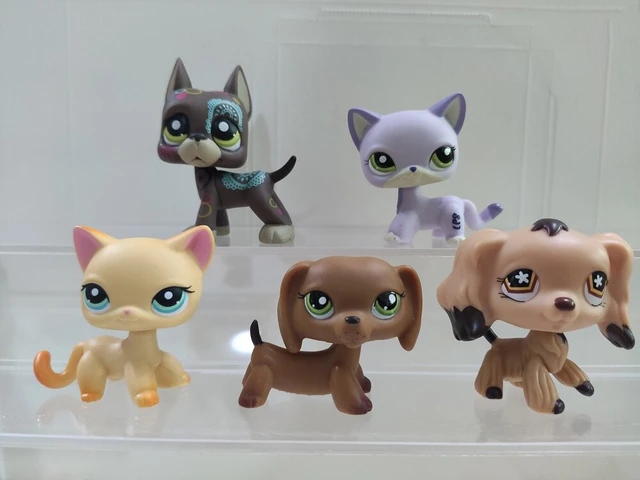 Littlest Pet Shop Cat 339