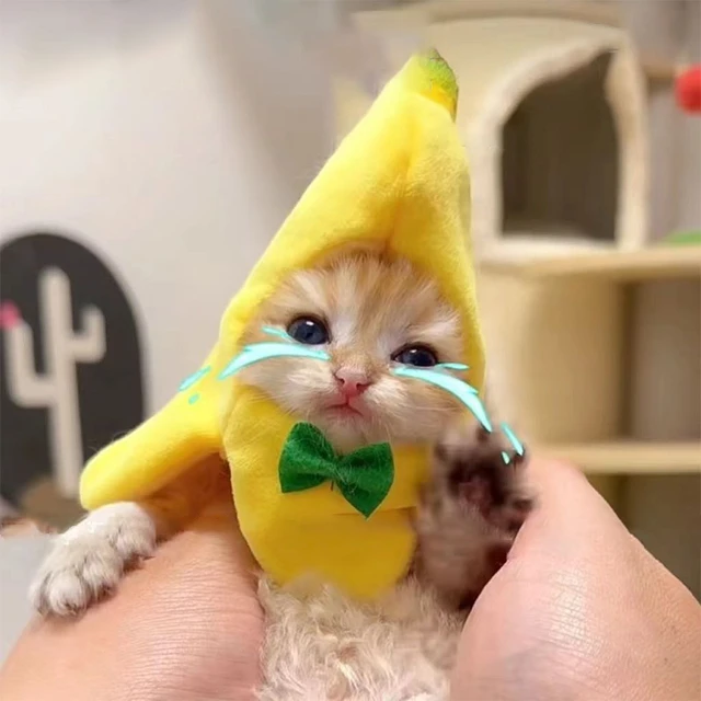 Cute Pat On The Head