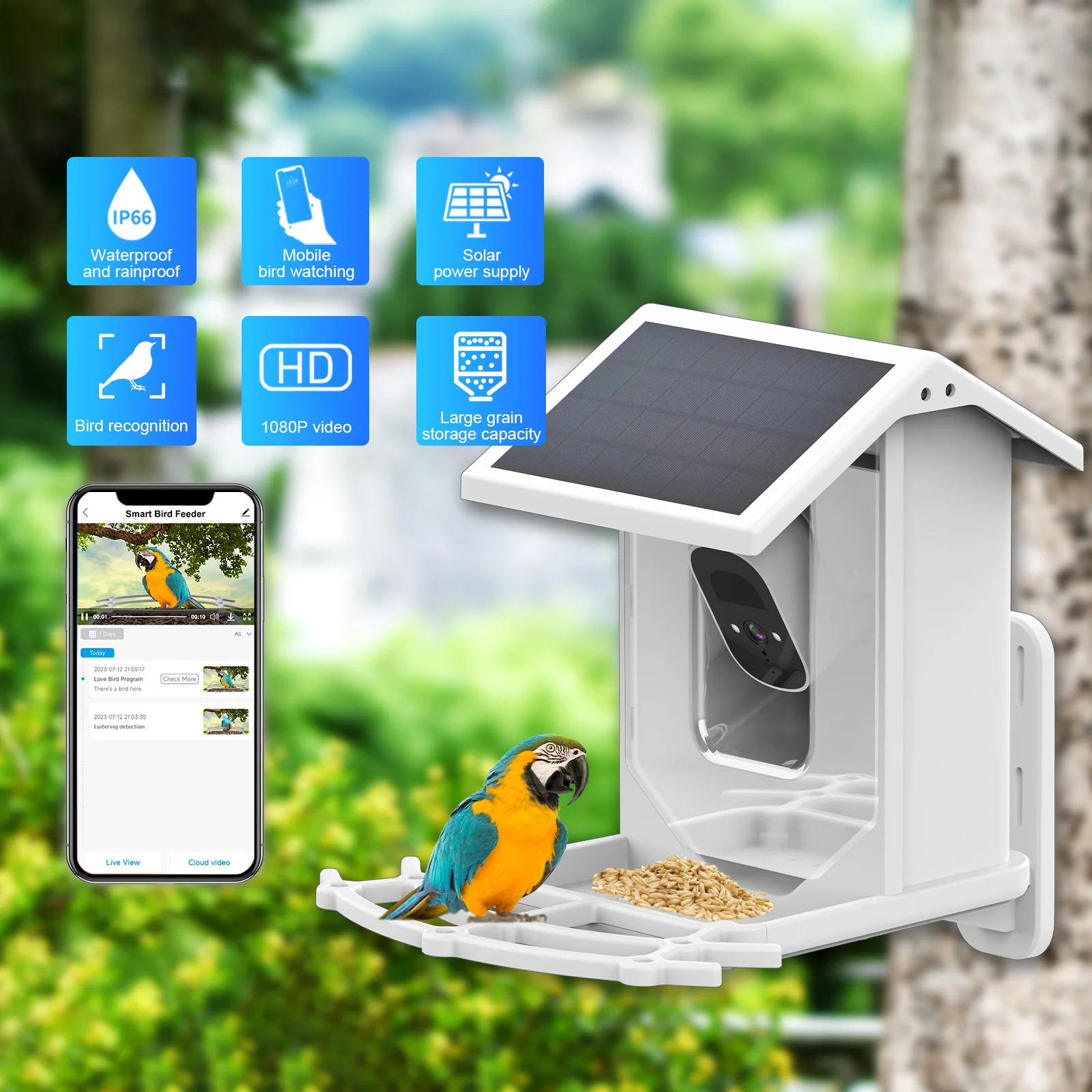 Smart-Bird-Feeder-with-Camera-Low-Power-Solar-Bird-Camera-1080P-Night ...