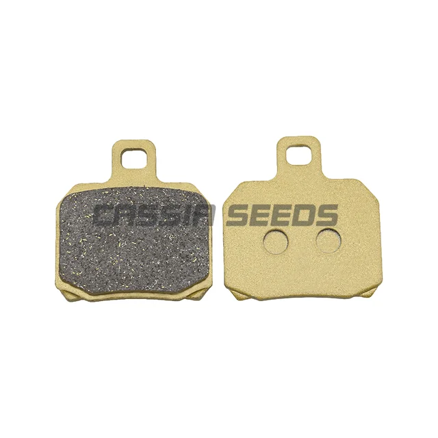 Motorcycle front and rear brake pads for Aprilia ETV 1000 Caponord Non ...