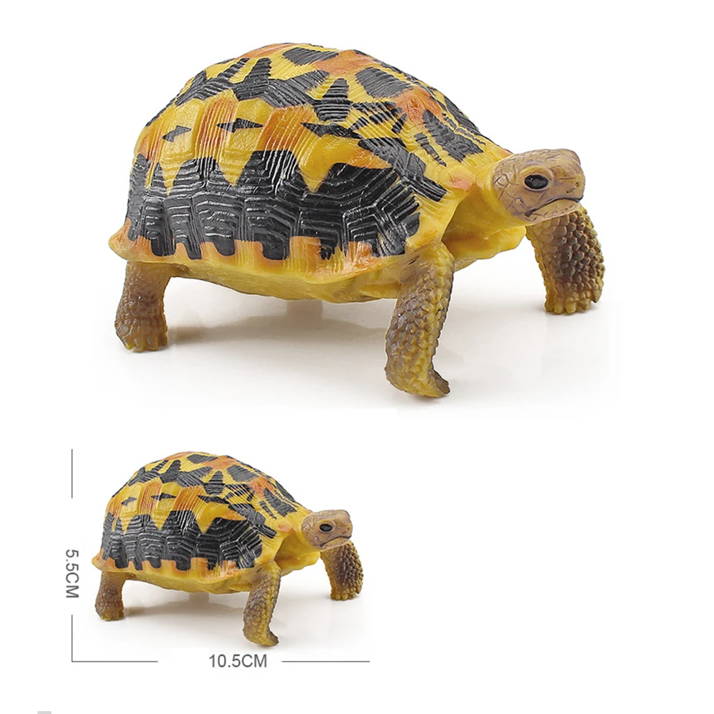 Box Turtle Toys