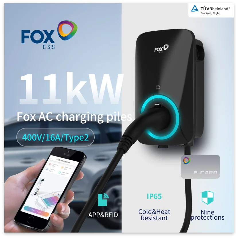 Store Home Products Anniversary Sale Feedback