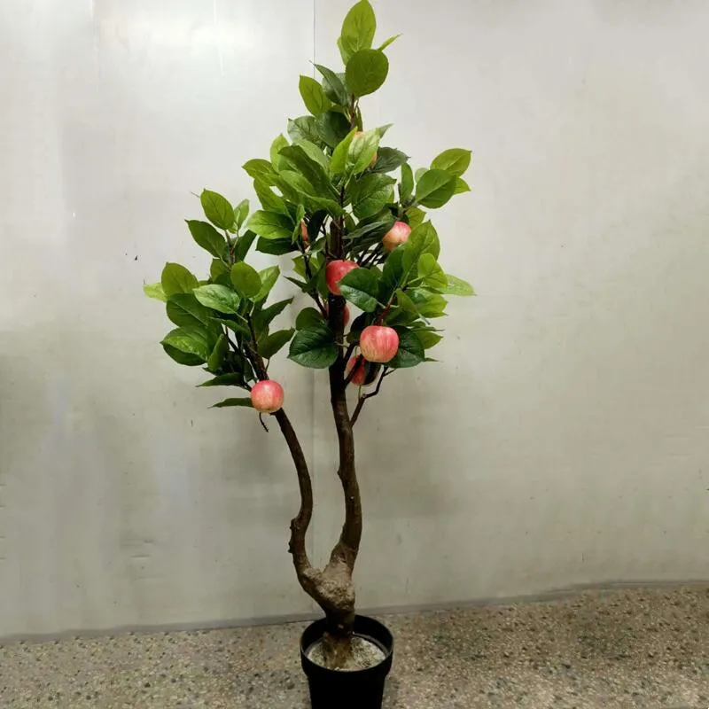 Apple Tree Bonsai