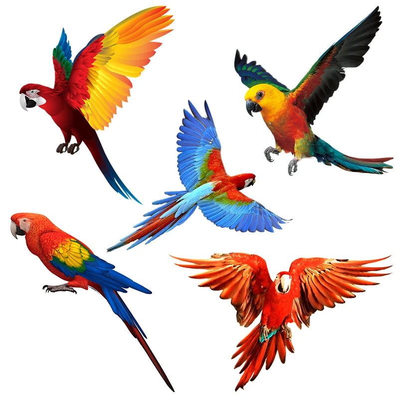 C205-Exquisite-hand-painted-color-Parrot-Wall-Sticker-Bathroom-Toilet ...